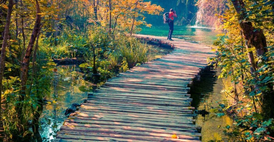 From Split: Plitvice Lakes Guided Tour with Entry Tickets - Exploring the Park: A Multi-Mode Adventure