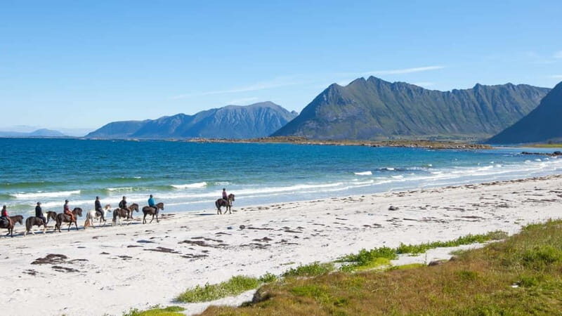 From Svolvær: Henningsvær Lofoten East Island Full Day Tour - The Practicalities: What You Need to Know