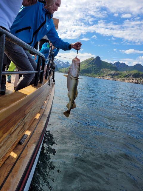 From Svolvaer: Lofoten Fishing Boat Cruise - Who Will Love This Tour?