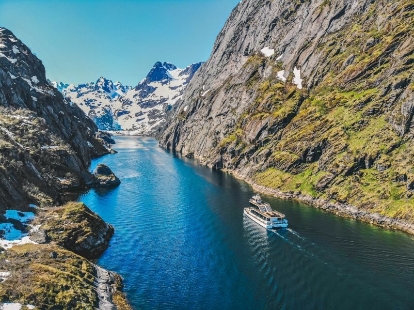 From Svolvær: Lofoten Islands Silent Trollfjord Cruise - Who Will Enjoy This Tour?