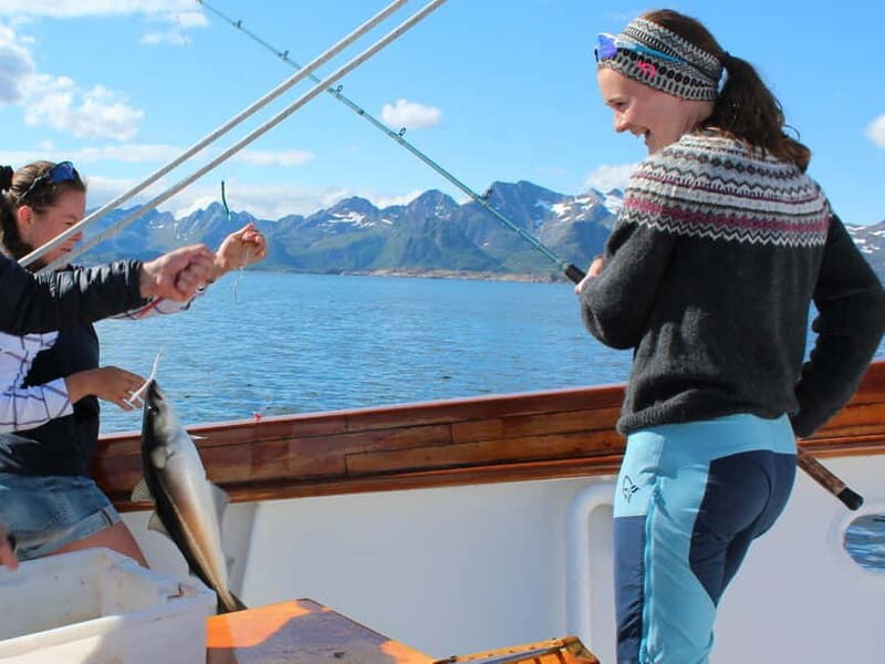 From Svolvær: Taste of Lofoten - Cultural Fishing Experience - Exploring the "Taste of Lofoten" Tour in Detail