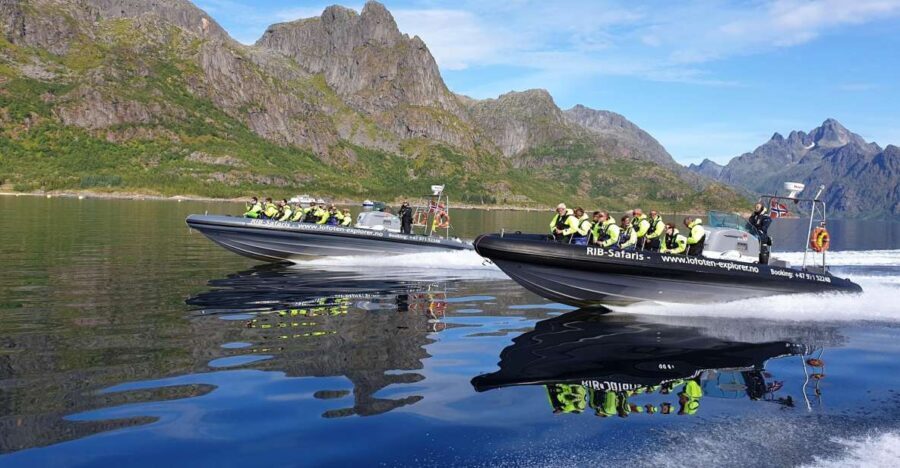 From Svolvaer: Trollfjorden Wildlife RIB Cruise - What We Appreciate