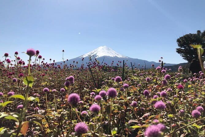 From Tokyo: Mount Fuji, Cruise and Sake Tasting Tour - Transportation and Group Details