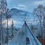 From Tromso: Arctic Wilderness Snowmobile Daytime Tour - Detailed Breakdown of the Itinerary