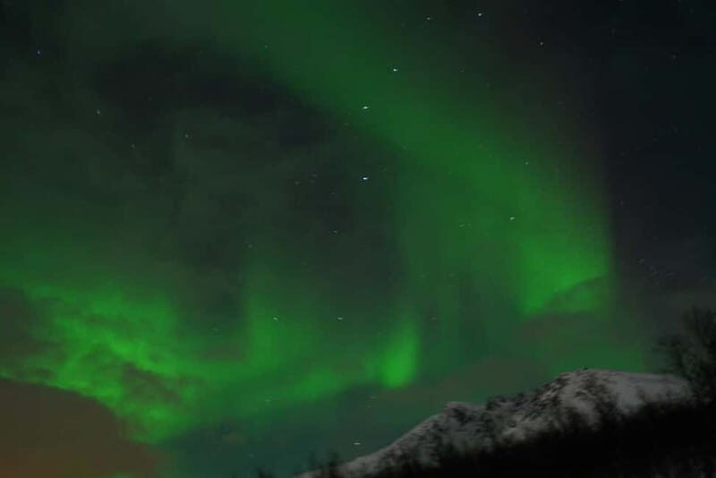 From Tromsø: Aurora Bus Tour with Snacks, Photos, and Drinks - The Downside: No Guarantees of a Sight