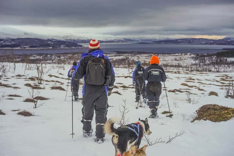 From Tromsø: Guided Husky Snowshoe Hike and Husky Camp Visit - The Value of Included Items