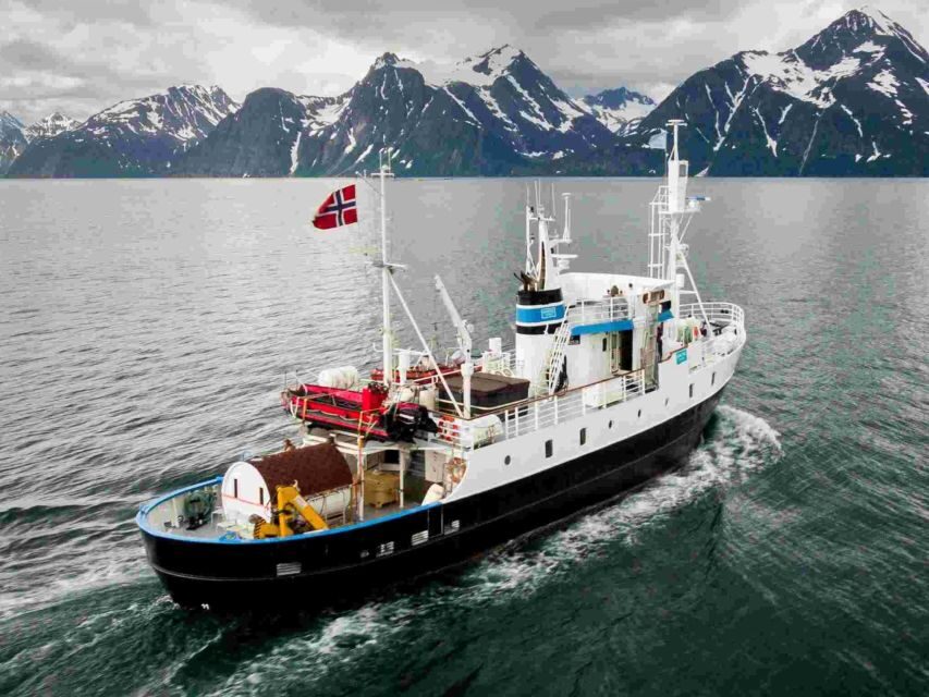 From Tromsø: Northern Lights Cruise on a Cozy Vintage Vessel - Final Thoughts