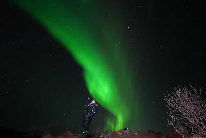 From Tromsø: Northern Lights Tour with Hot Drinks and Photos - The Sum Up
