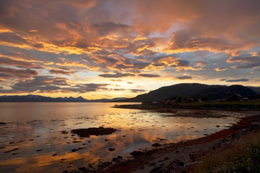 From Tromso: Norwegian Fjords Half-Day Tour - Final Thoughts: Should You Book This Tour?