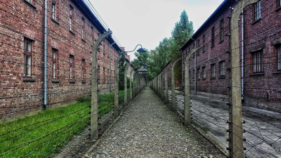 From Warsaw: Auschwitz-Birkenau Guided Tour with Fast Train - Practical Details and What to Expect