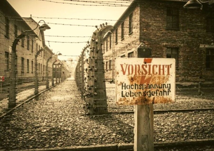 From Warsaw: Auschwitz-Birkenau Small Group Tour with Lunch - How It Feels to Travel with a Small Group