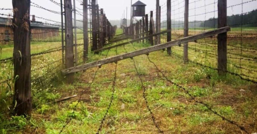 From Warsaw: Tour to Majdanek Concentration Camp and Lublin - Analyzing the Value: Is It Worth It?
