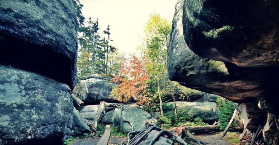From Wroclaw: Full-Day Stolowe Mountains Trekking Tour - What Makes This Tour Stand Out