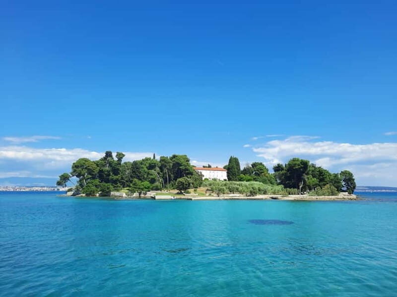 From Zadar: Half-day Boat Tour to the islands - The Boat and Guides: Quality and Service