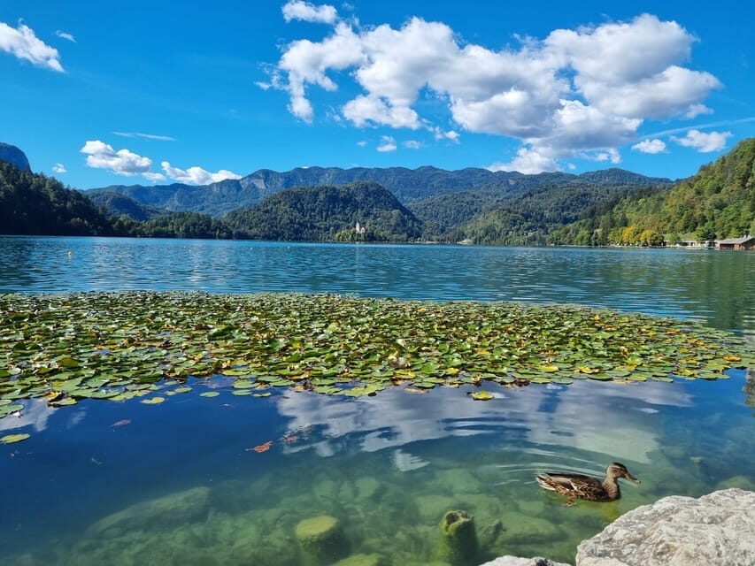 From Zagreb: Highlights Day Tour to Bled and Ljubljana - The Value of This Tour