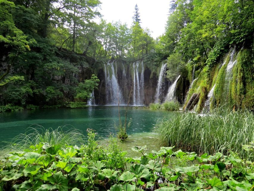 From Zagreb to Zadar: Plitvice Lakes Private Tour - What’s Included, What’s Not