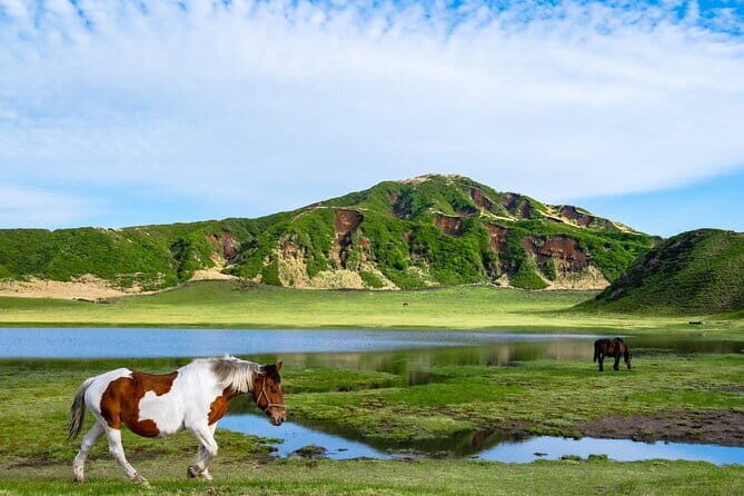 Fukuoka: Mount Aso Volcano, Kumamoto Castle, Grasslands Day Tour - The Value of This Tour