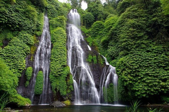 Full-Day Bali Highlights with Dolphin Tour - Who Will Enjoy This Tour?