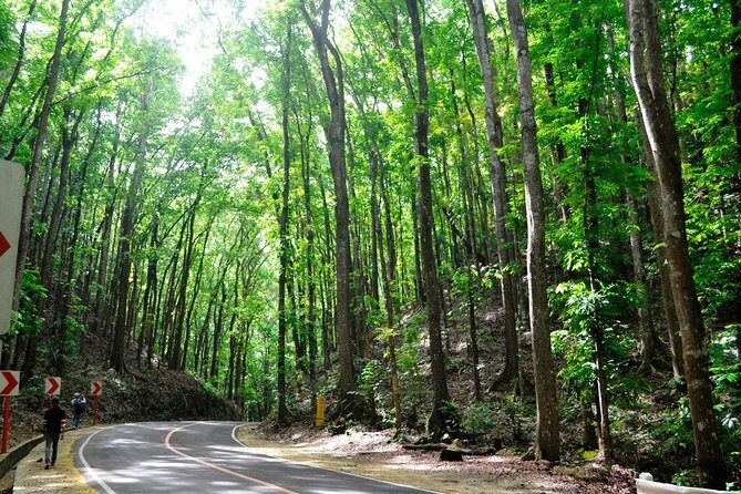 Full-Day Bohol Excursion - depart Cebu (Best Seller) - Who Is This Tour Best For?