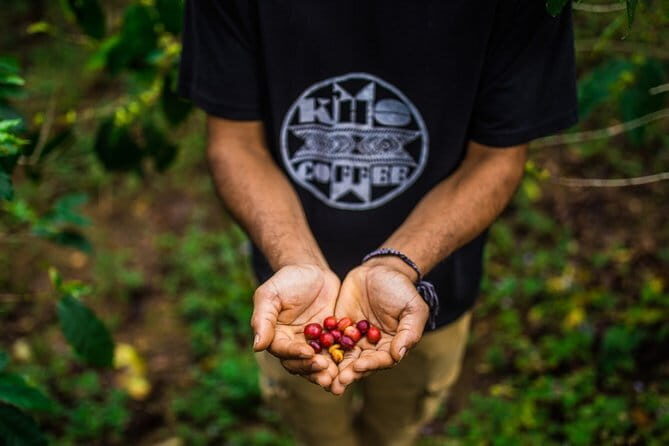 Full day Dalat tea and coffee tour - Practical Tips for Making the Most of the Tour