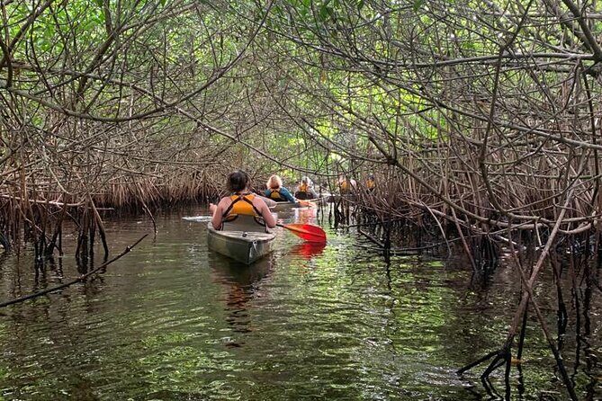 Full Day Everglades Combo Motorboat Eco and Kayak Tour - What You’ll Love About This Tour