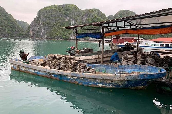 Full-Day Ha Long Bay & Lan Ha Bay Cruise with Hotel Pickup - Who Should Consider This Tour?