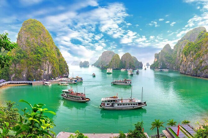 Full-Day Halong Bay Standard Cruise Tour : Lunch, Cave and Island - What Travelers Can Expect