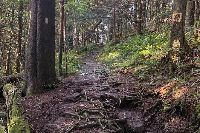 Full Day Hike to Charlies Bunion on the Appalachian Trail - The Sum Up