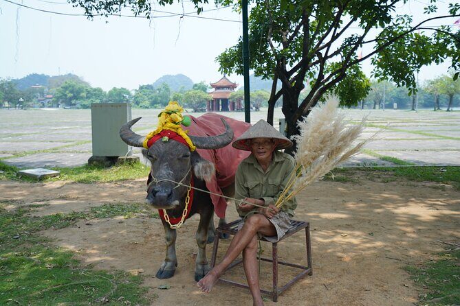 Full Day Hoa Lu/Tam Coc/ Mua Cave Tour by Limousine Bus - Cycling or Relaxing in Ninh Hai Village