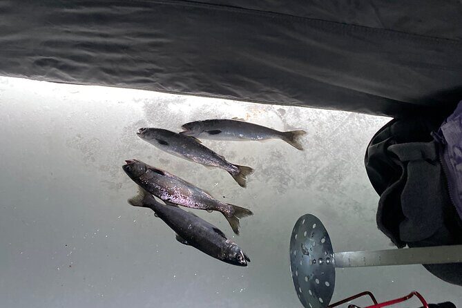 Full Day Ice Fishing Experience in Palmer Alaska - What You Can Expect from the Experience
