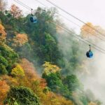 Full Day Jinfo Mountain Tour - Final Thoughts