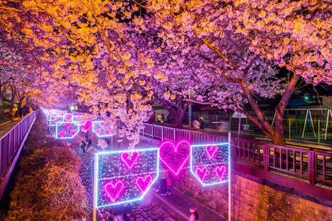 Full-Day Jinhae Cherry Blossom festival Private tour - Practical Tips for Making the Most of This Tour