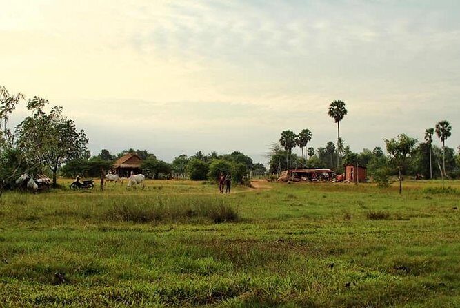 Full-Day Kampot & Kep with a local Tuk Tuk Tours - What Travelers Say