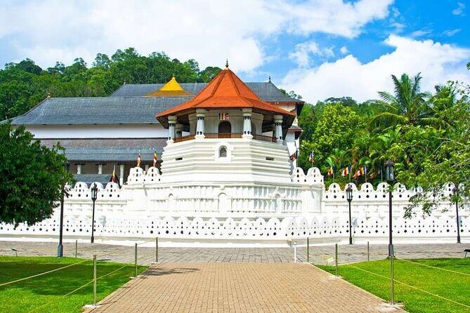 Full day Kandy City Tour by Tuk Tuk - Authentic Experiences and Practical Insights
