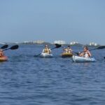 Full Day Kayak or SUP Rental (8hr) - Pelican Bay - What To Expect from Your Day on the Water