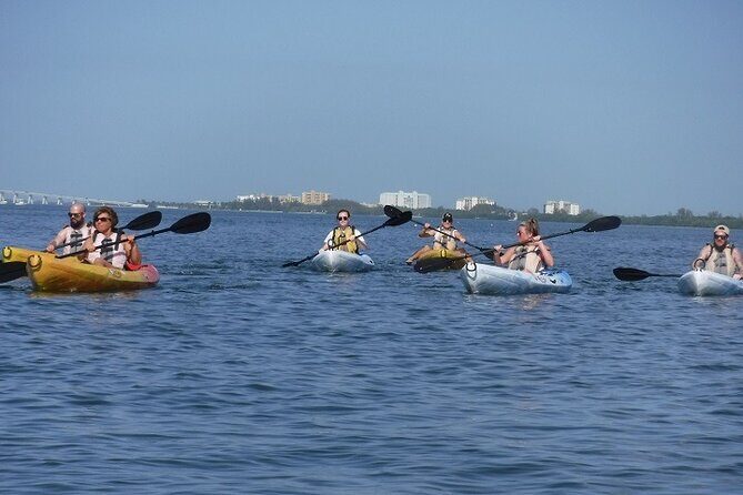 Full Day Kayak or SUP Rental (8hr) - Pelican Bay - What To Expect from Your Day on the Water