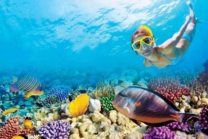 Full-Day Key West Tour and Coral Reef Snorkeling with Open Bar - Exploring Key West on Your Own Terms