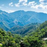 Full-Day Kingston and Blue Mountains Private Guided Tour - FAQs About the Kingston and Blue Mountains Tour