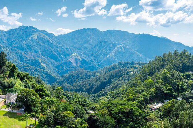 Full-Day Kingston and Blue Mountains Private Guided Tour - FAQs About the Kingston and Blue Mountains Tour