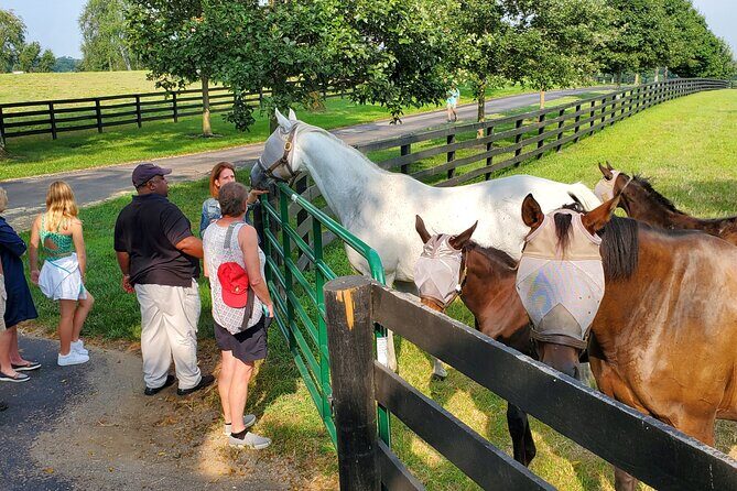 Full-Day Lexington Farm Tour with Clay Pigeon Shooting - Putting It All Together: The Value of This Tour