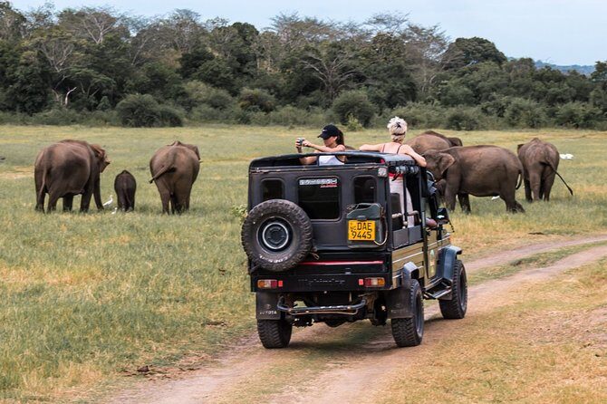 Full-Day Minneriya and Kaudulla National Parks Private Safari - What’s Included and What’s Not