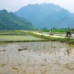 Full Day Motorbike Tour in Pu Luong Nature Reserve - Discovering Dan Waterfall