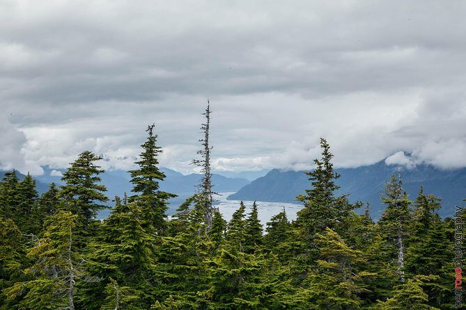 Full-Day Mount Riley Hike from Haines - A Closer Look at the Itinerary