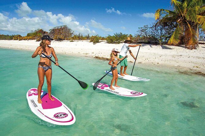 Full-Day Paddle Board Rental in Naples, Florida - Why This Rental Is a Great Value
