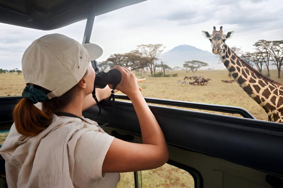 Full-Day Pilanesberg Safari from Sun City - What to Expect from This Full-Day Safari