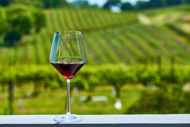 Full-Day Private Amador County Wine Tour from San Francisco - Detailed Review: Why You Should Consider This Tour