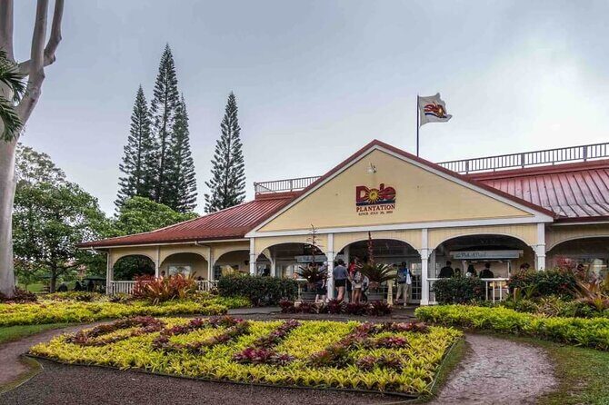 Full Day Private Hawaiian Culture Tour with Guide - Who is This Tour Best For?