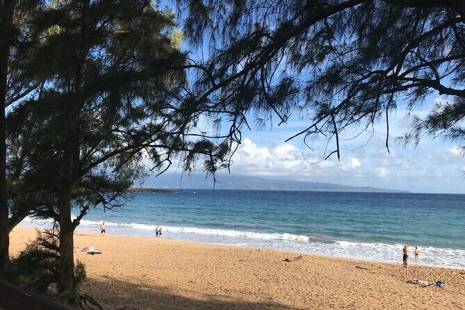 Full Day Private Maui Tour - Practicalities and Tips
