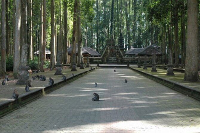 Full-Day Private Tabanan Tour in Bali - FAQs