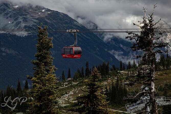 Full-Day Private Tour from Bellingham to Whistler B.C. Canada - The Value and Practicalities